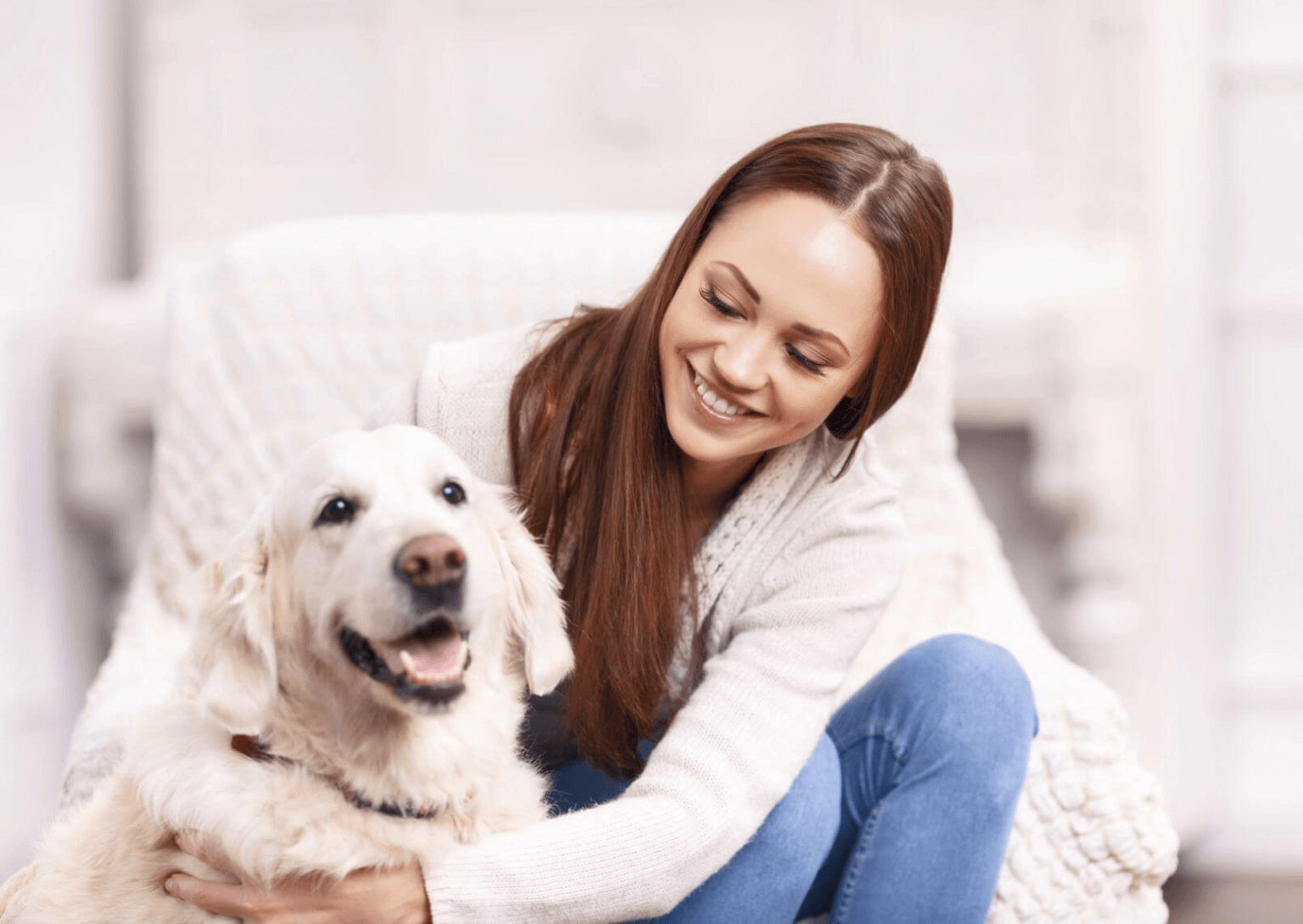 Home Vets London - Veterinary services directly to your home